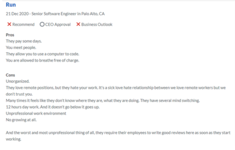 Turing Review Are They Really That Awesome Lemon Io